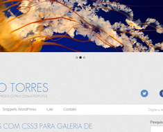 Ein eigenes WordPress Theme erstellen – die Vorbereitungen