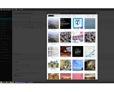 Ein eigenes WordPress Theme erstellen – die Vorbereitungen